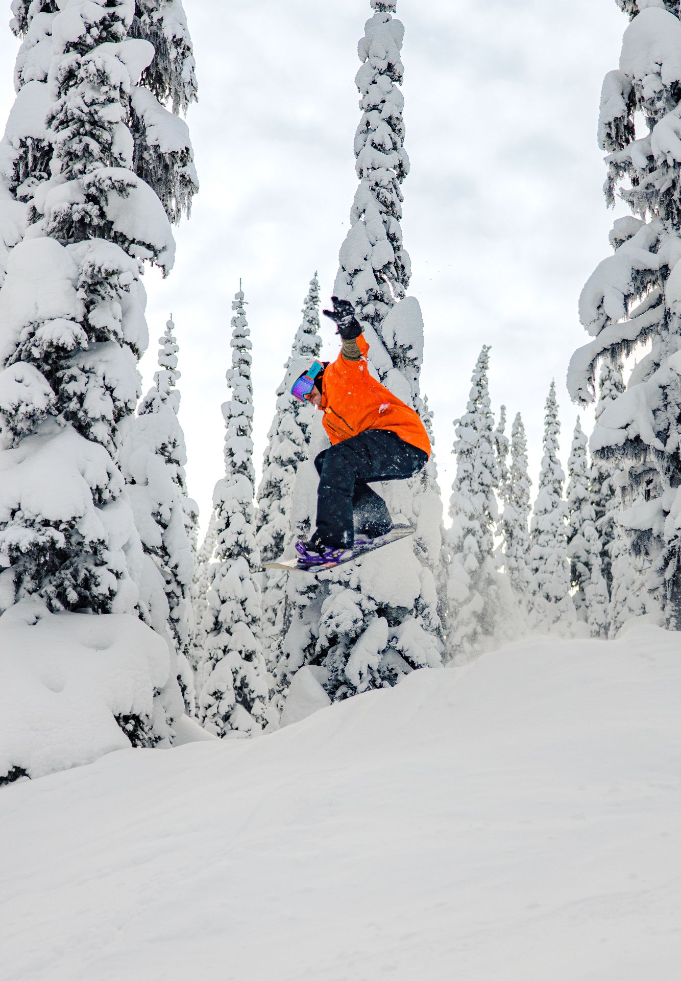 HOME :: powderking.com